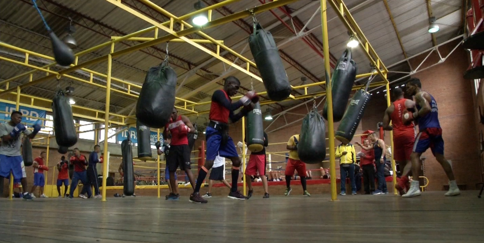 Por primera vez Colombia estará disputando la Serie Mundial de Boxeo ...