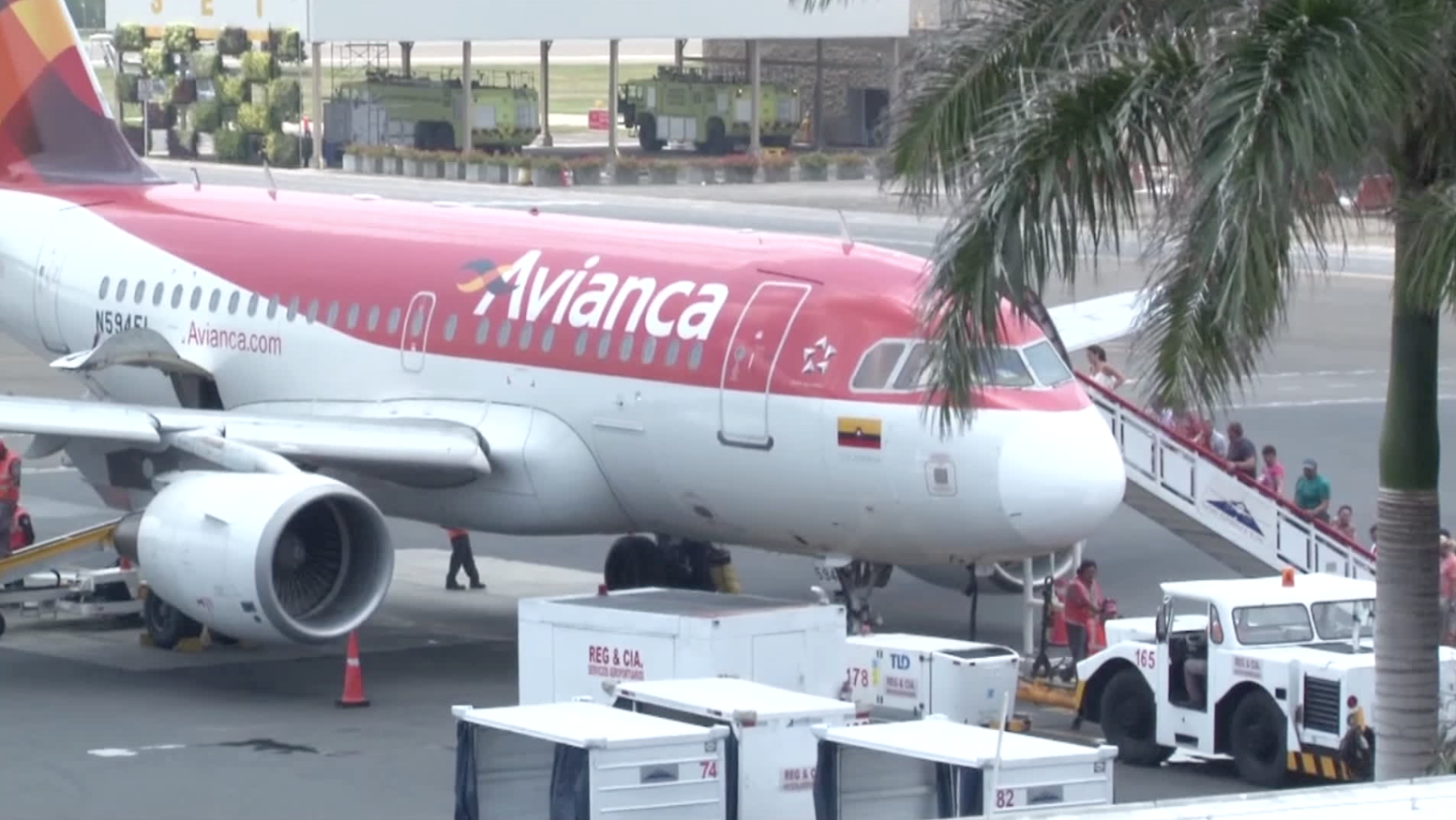 Avianca analiza contratar vuelos Chárter en Brasil - Canal 1