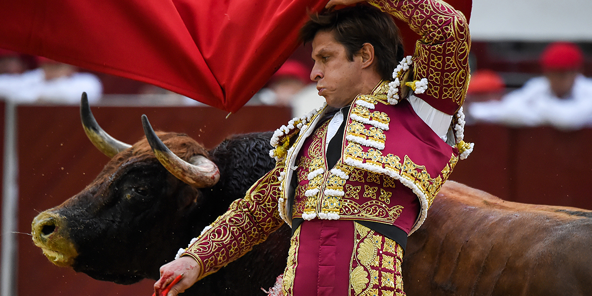 Torero ‘El Juli’, en recuperación tras cornada en La Santamaría de ...