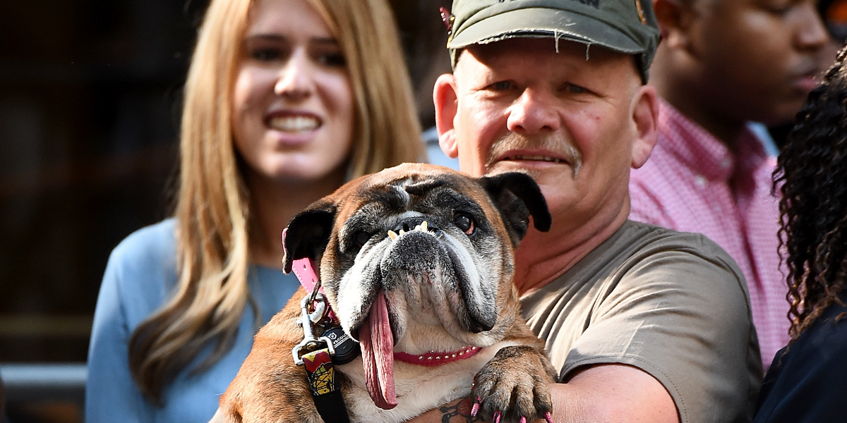 Un bulldog baboso, el perro más feo del mundo - Canal 1