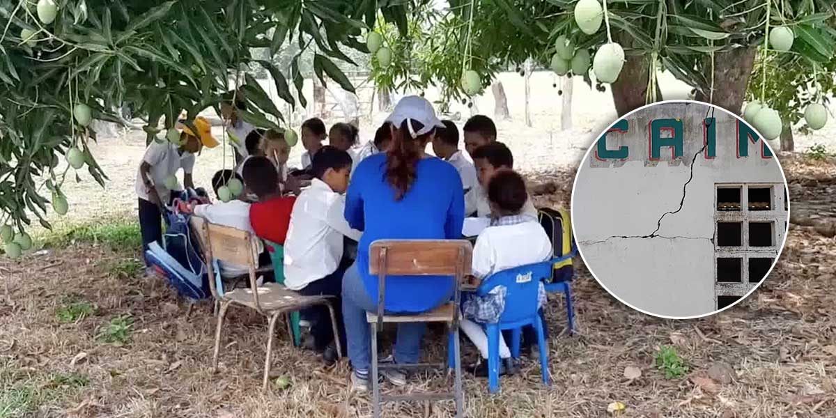 80 niños reciben clase bajo árboles porque escuela está a punto de ...