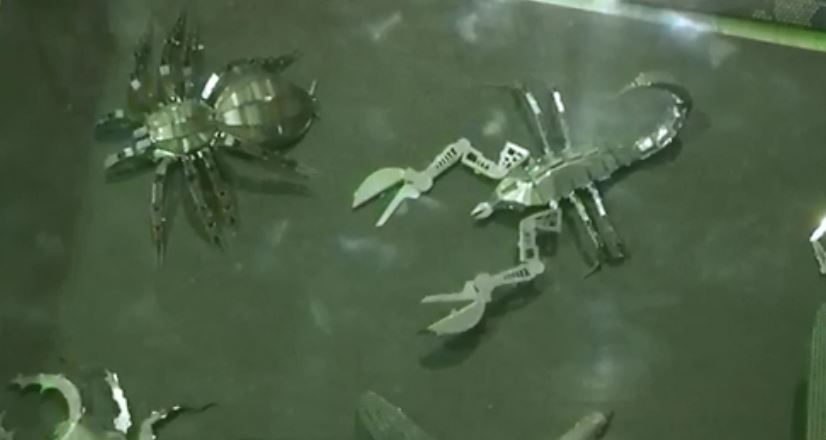 Colombia tiene su primer ‘robatario’ donde se desarrollan “insectos ...