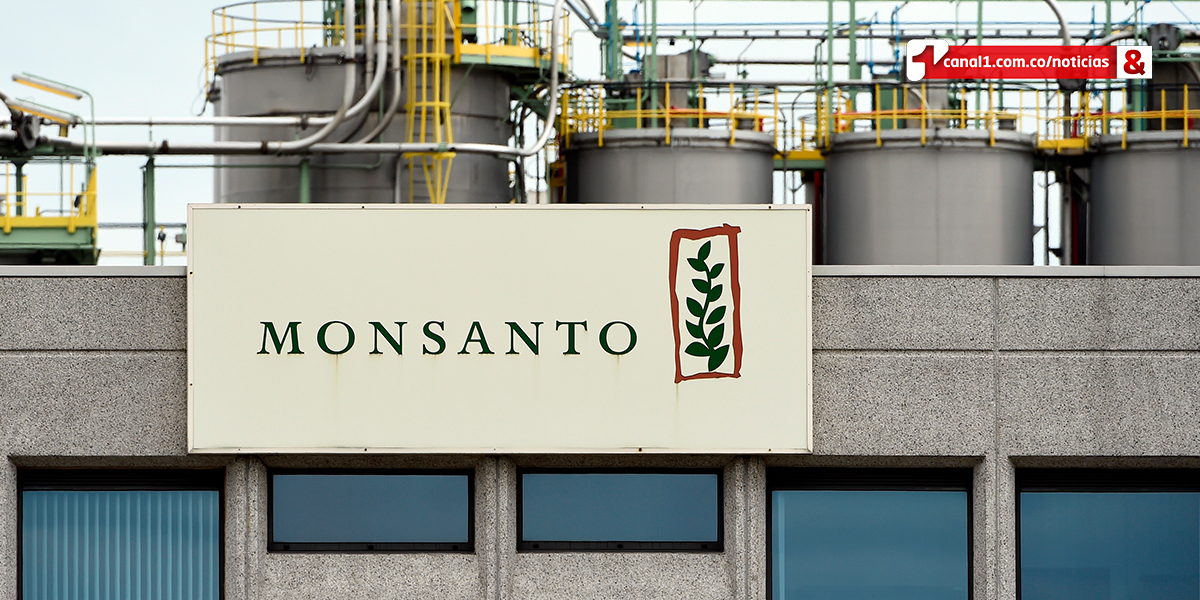 Monsanto creó listas en siete países de personas críticas, según Bayer ...