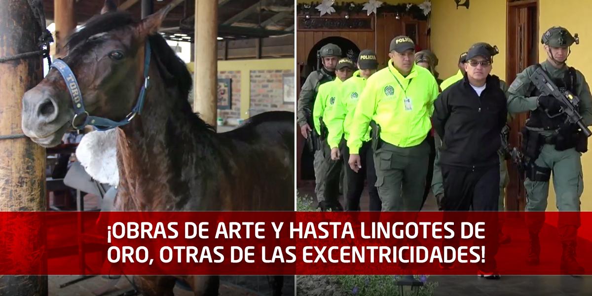 Caballos de 2 millones de dólares, entre los bienes ocupados a ...