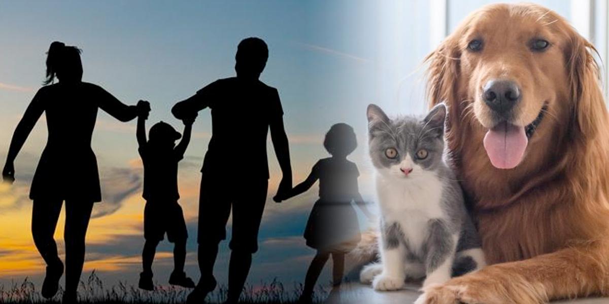 Encuesta confirma que jóvenes prefieren mascotas en vez de hijos - Canal 1