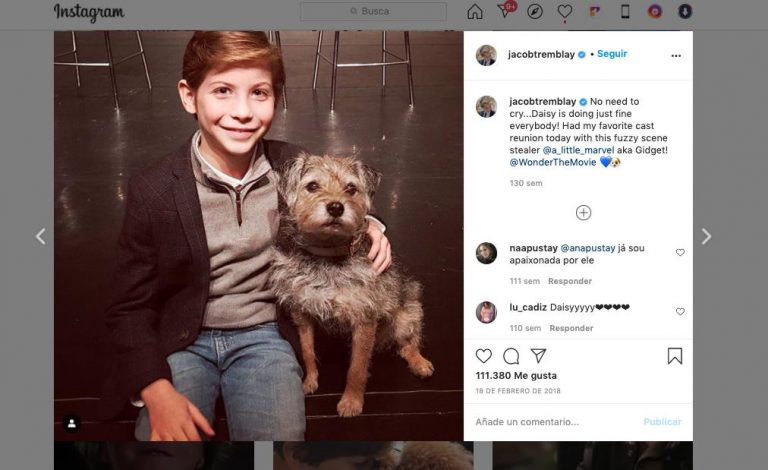 Así luce en la vida real el niño que da vida a Auggie en la película ...