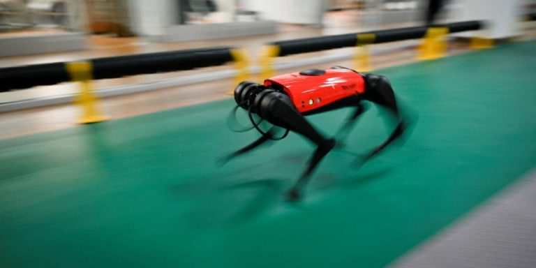Perros Robot cómo funcionan valor donde se consiguen china - Canal 1