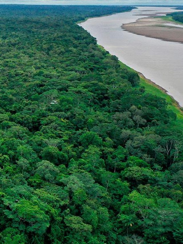 Ocho datos para entender la importancia del Amazonas en el mundo - Canal 1