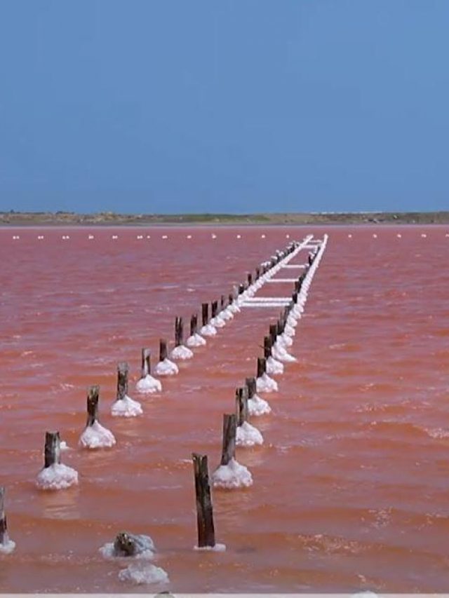 ¿Dónde queda Galerazamba, el mar rosado de Colombia? - Canal 1