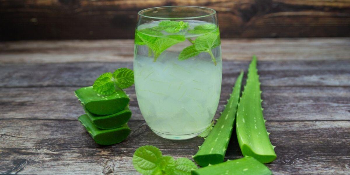 Cinco beneficios de la sábila que quizás no conocías - Canal 1