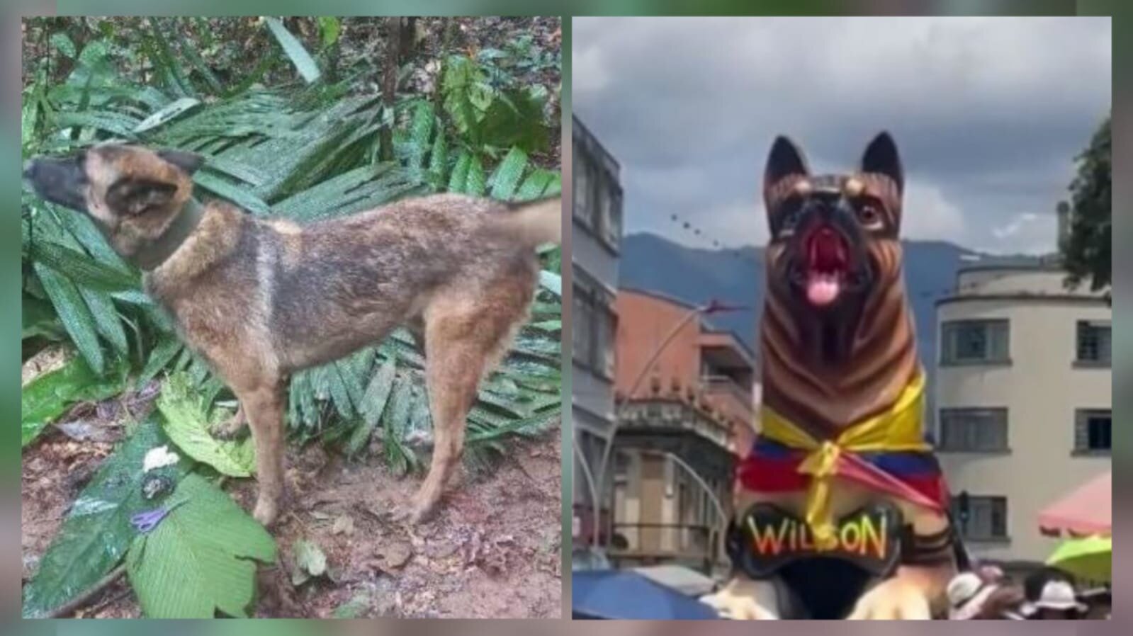 Video | Estatua en homenaje a ‘Wilson’ acaparó las miradas del desfile ...