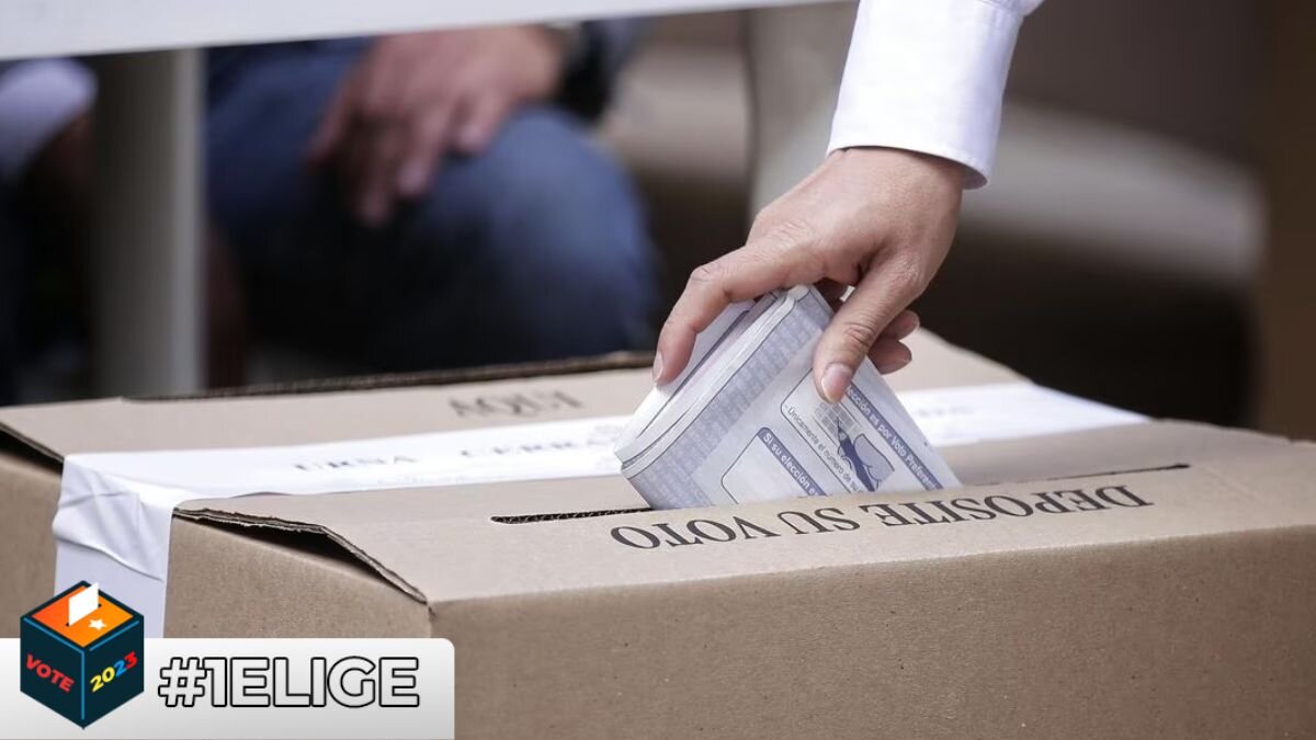 Estas son las tarjetas electorales que le entregarán el 29 de octubre ...