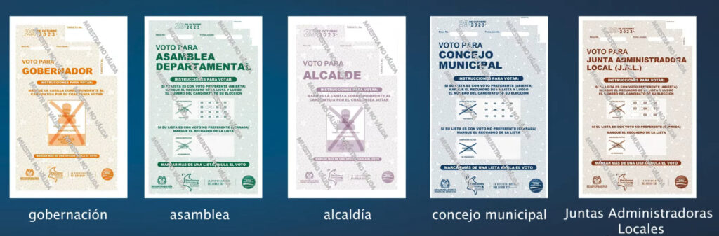 Estas son las tarjetas electorales que le entregarán el 29 de octubre ...