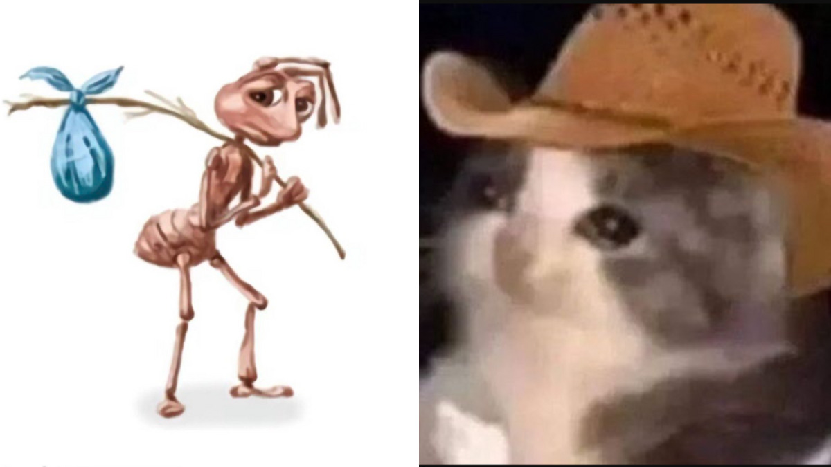 Memes de los resultados del Icfes 2023 - Canal 1