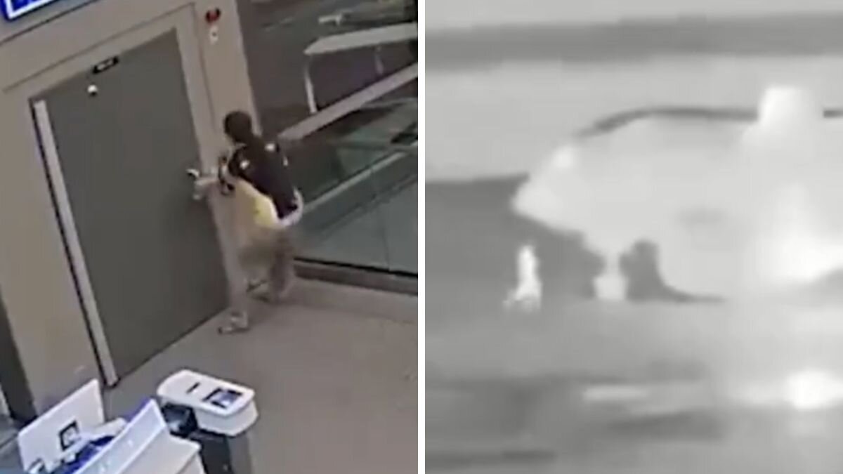 Video Hombre Muere Al Intentar Colarse En Un Vuelo Encontraron Su