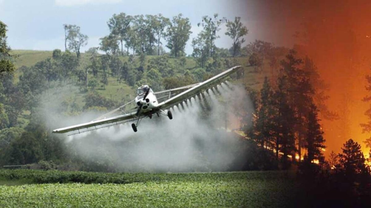 ¿Se puede usar aviones de fumigación para combatir los incendios del ...