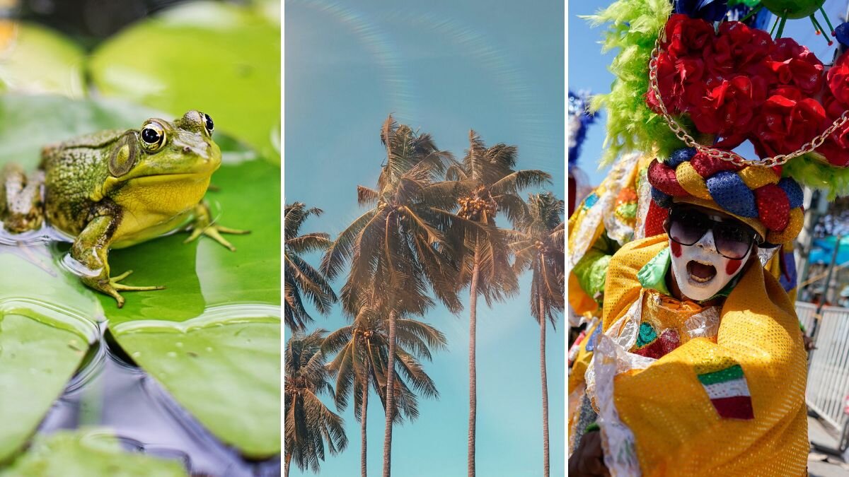 Video | Las cosas que no sabías de Colombia hace cinco minutos - Canal 1