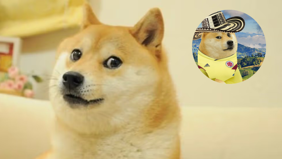 “Meras risas, meros recuerdos”: estos son los mejores memes Doge que ...