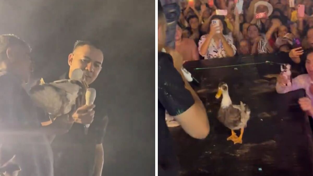 Video | El pato que se robó el show en el escenario junto al vallenatero Diego Daza - Canal 1