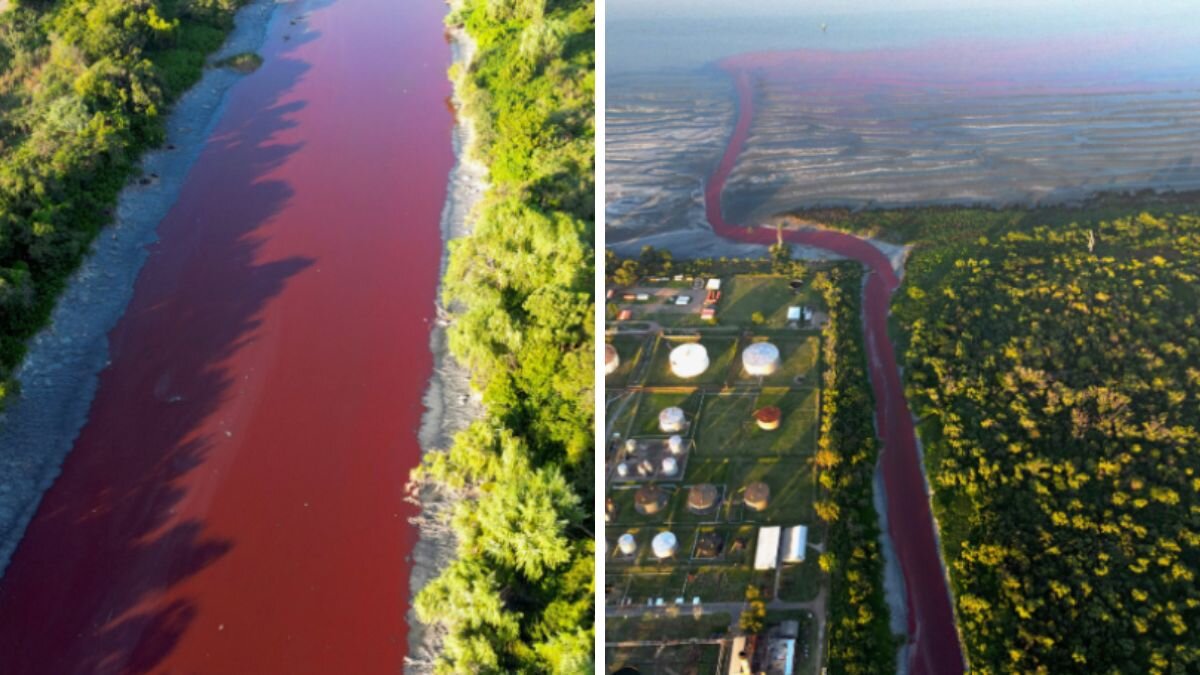 Video | “Un río de sangre”: esto se sabe del río que se tiñó de rojo ...