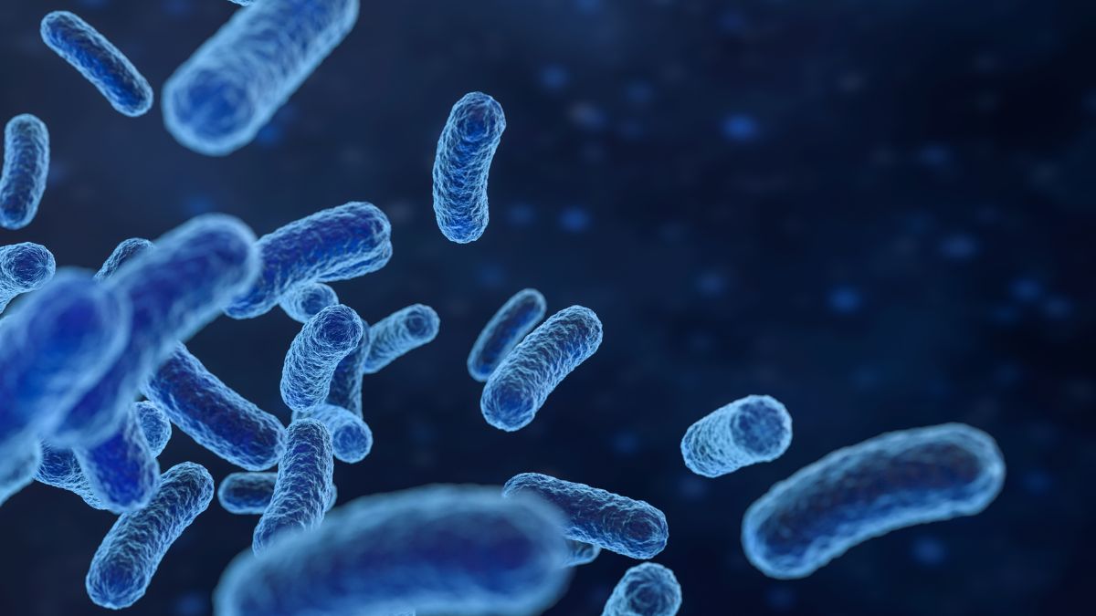 Brooke marsden nude boobs enjoyed a great experience next